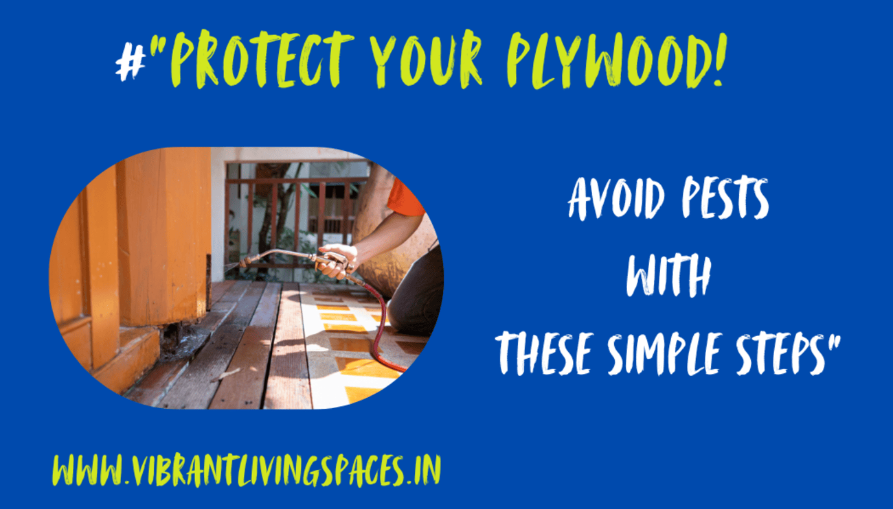 "Protect Your Plywood! Avoid Pests with These Simple Steps ...